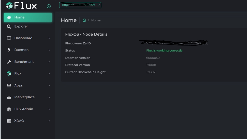 รับ Setup Flux Node เพื่อหารายได้จากการทำ Web 3.0 decentralized node.
