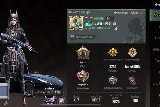 รับจ้างเล่นเกม Pubg