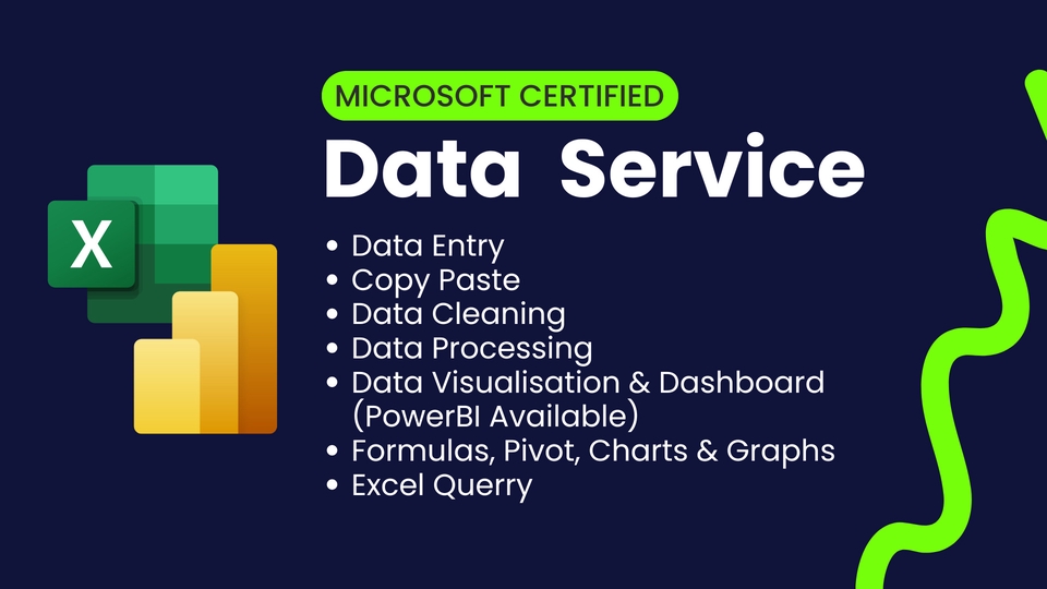 Data Service Microsoft Excel: Data Cleaning, Data Processing, Data ...