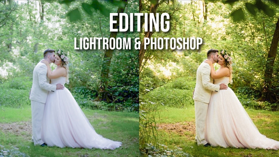 Photo Editing (Colour,Effect,Remove etc.)