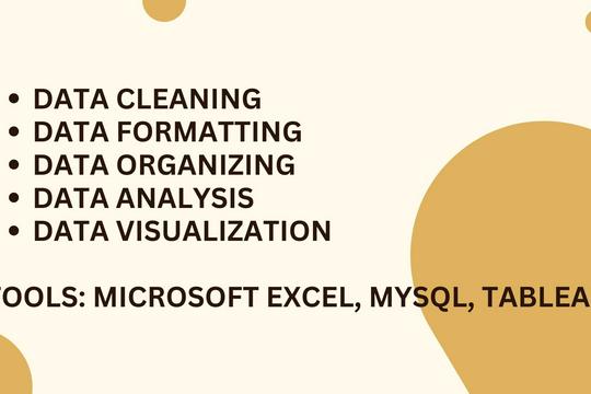 Data cleaning, entry, analysis, visualization service