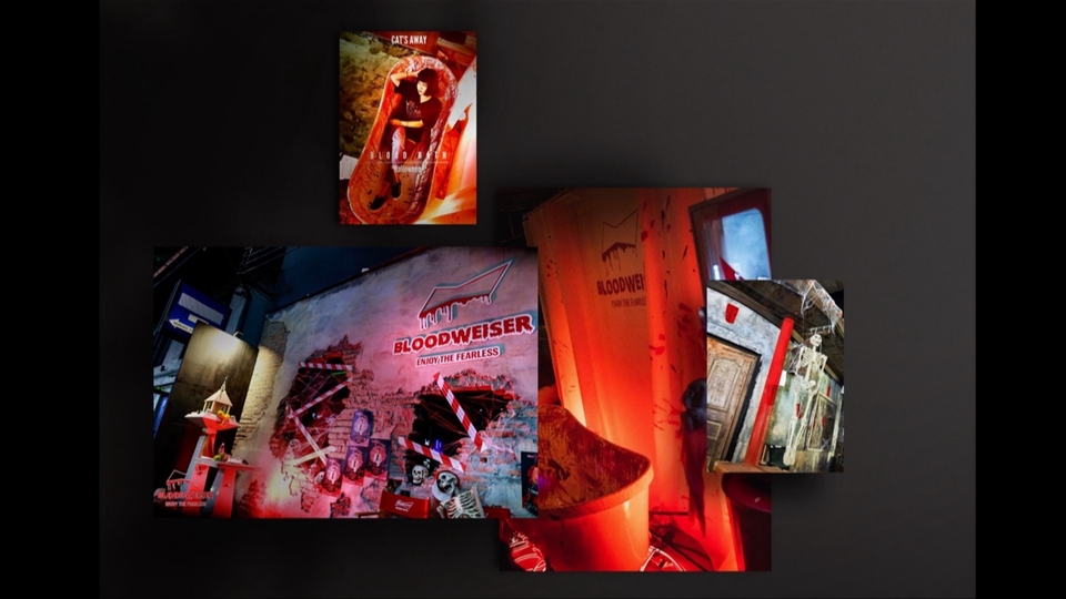 On-ground Activity - Event | Roadshow | Conference | Team Building