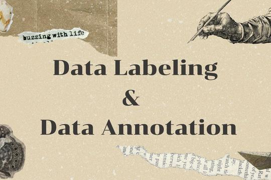 รับ Annotate/Label ข้อมูลภาพ สำหรับ AI ด้วย Roboflow
