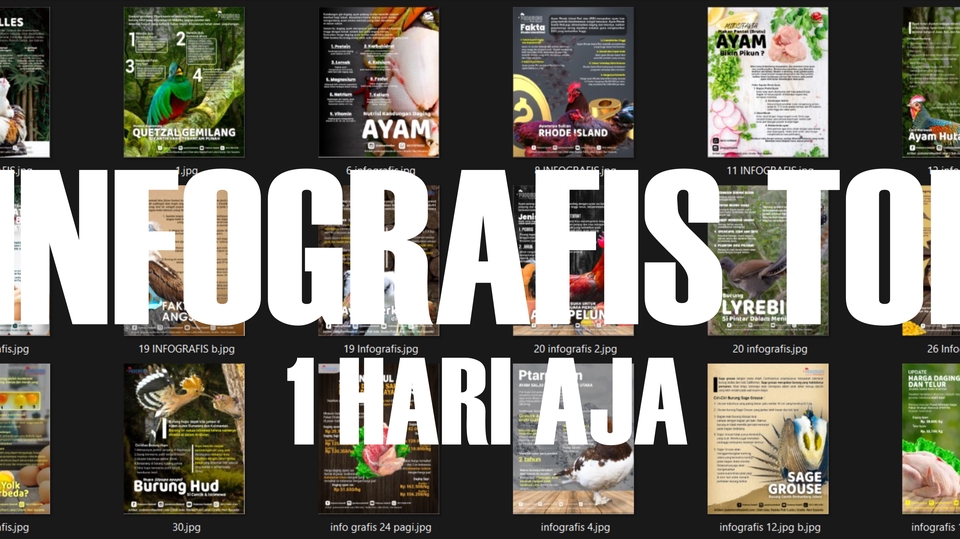 Desain Infografis untuk perusahaan, instansi, dll