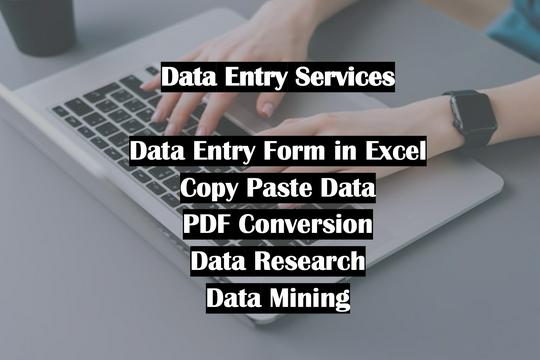 Professional Data Entry Services within 24 hours