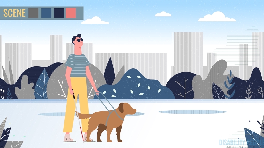 Motion Graphic / 2D Animation งานสวย เร็ว คุณภาพดี