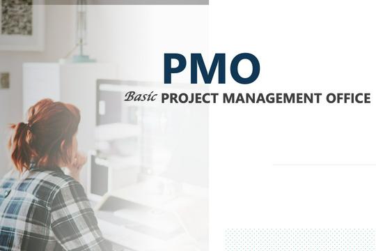 Belajar Basic PMO dan menjadi praktisi PMO yang handal