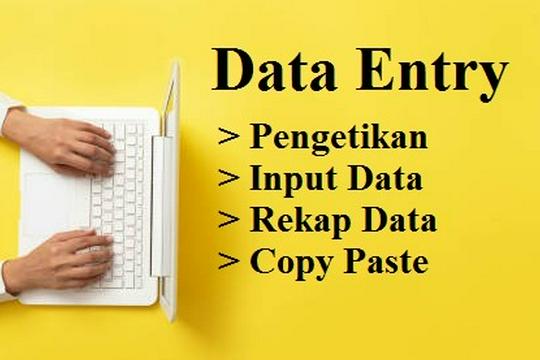 Entry Data (Input Data)
