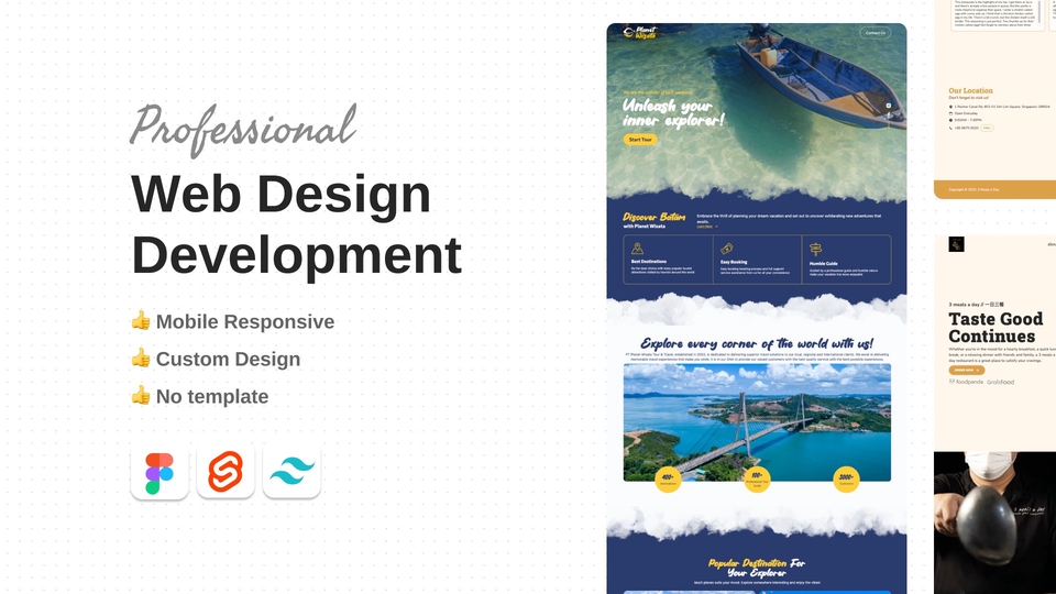 Professional Web Design and Development
