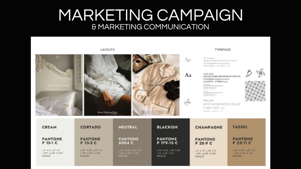 Marketing Campaign and Marketing Communication