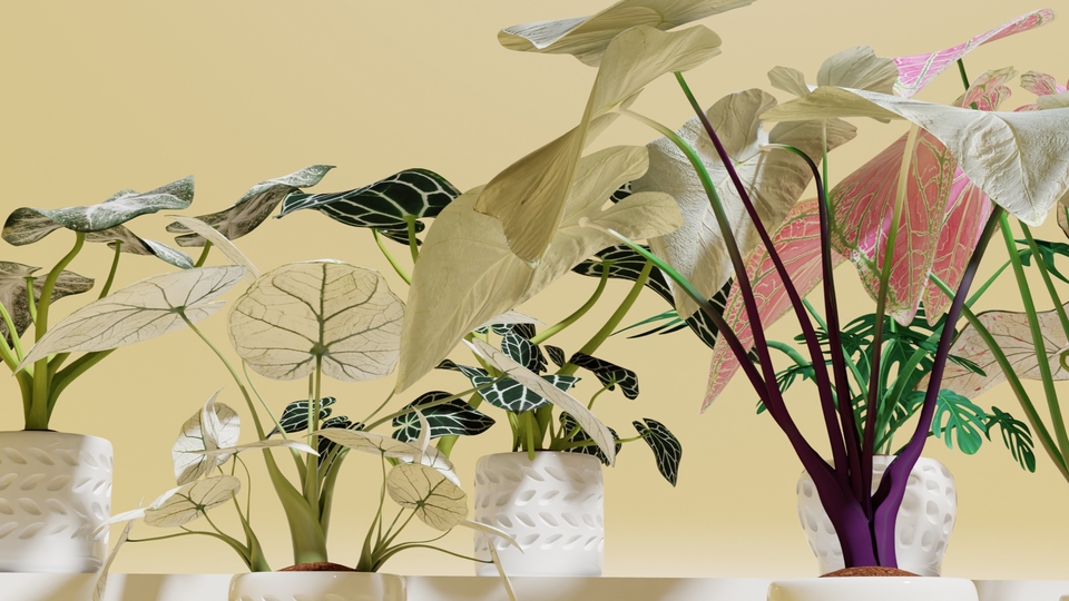 model tanaman dan bunga 3d dengan teksture pbr