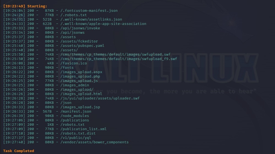 web penetration testing & bug bounty hunting website
