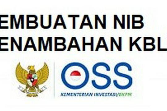 PERBAHARUI NIB E-KATALOG V.5 DAN V.6, PENAMBAHAN KBLI, PEMBUATAN NIB ...