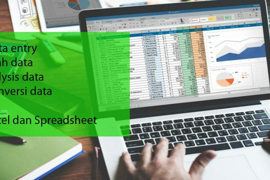 Jasa Entri Data Excel atau Spreadsheet