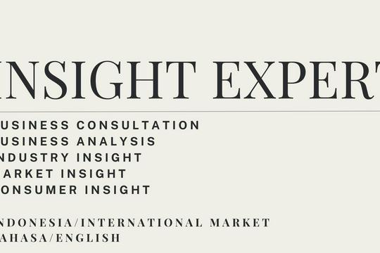 Insight Expert