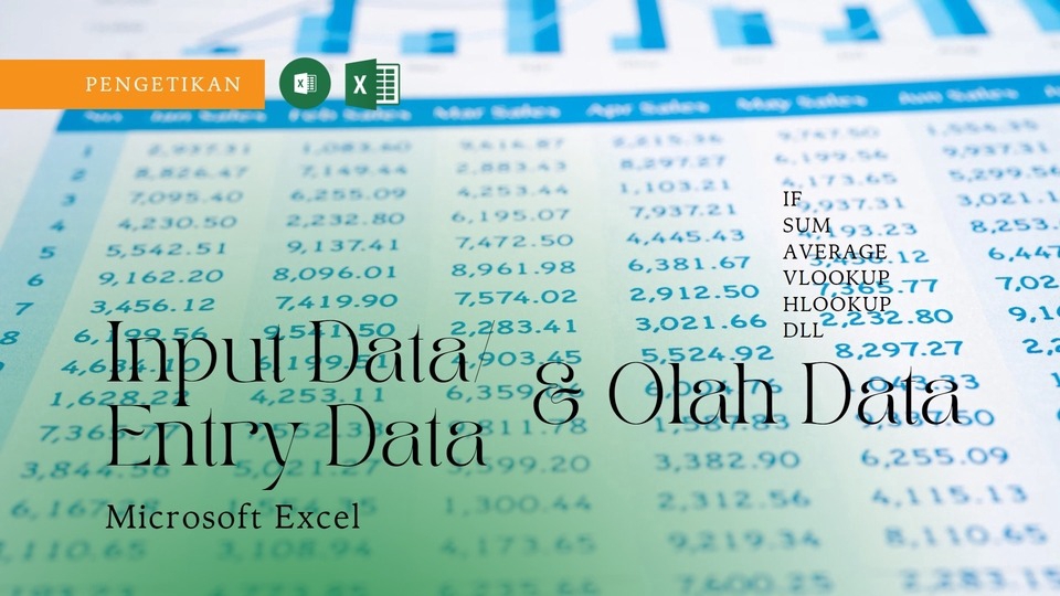 Input data/olah data menggunakan Excel