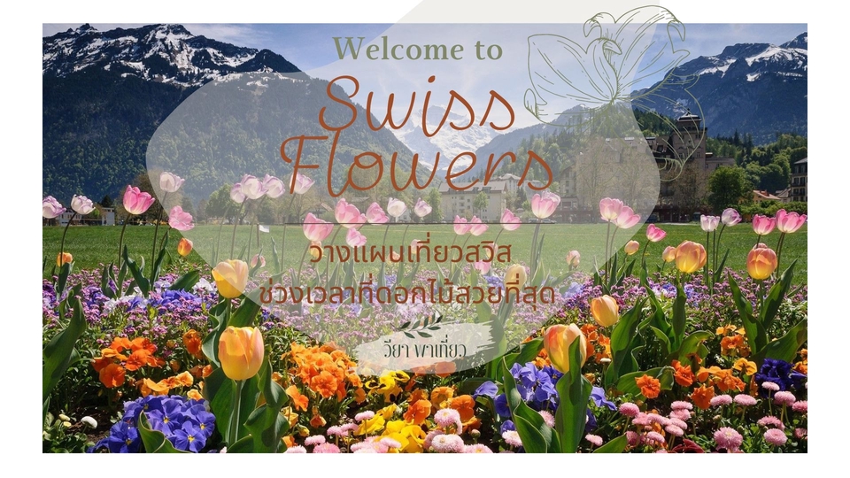 Swiss Flowers วางแผนเที่ยวสวิส ช่วงเวลาที่ดอกไม้สวยที่สุด