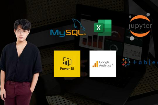 Data Analyst and Marketing Plan