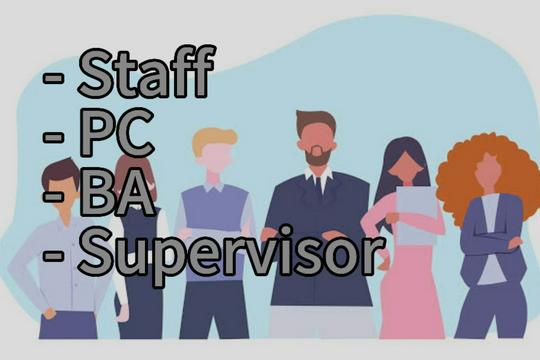PC , Staff , BA