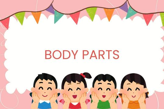 Body parts