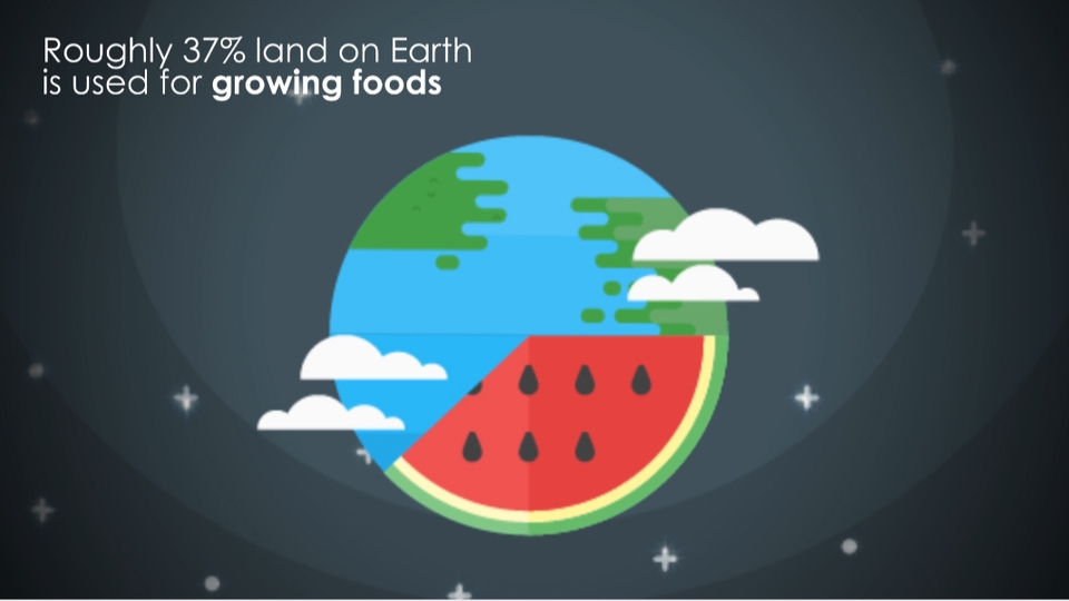 Animasi Motion Graphic Premium