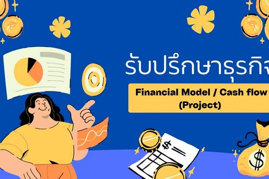 ทำ financial model / cash flow(project)