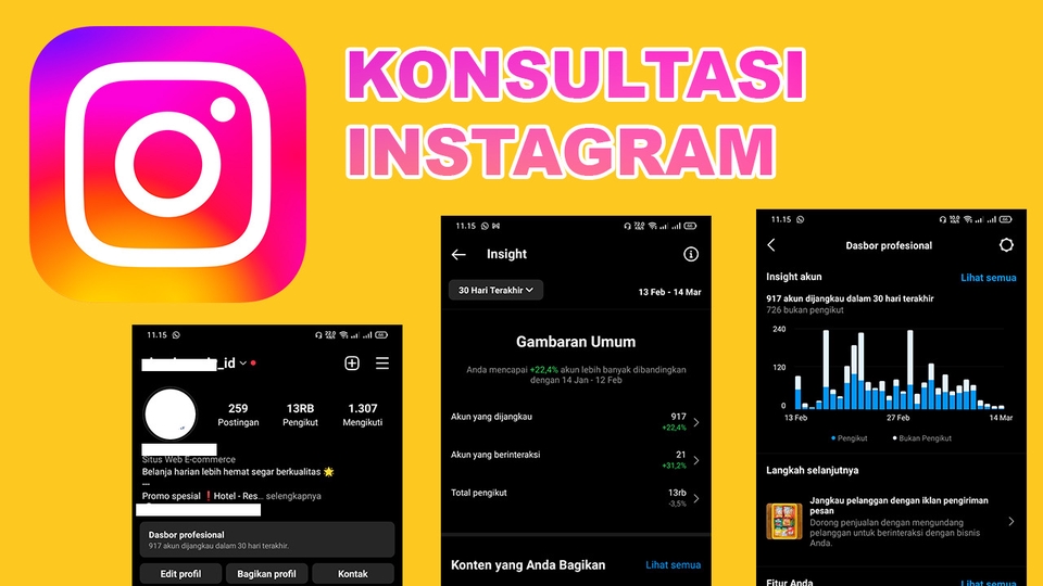 Konsultasi Mengembangkan Instagram