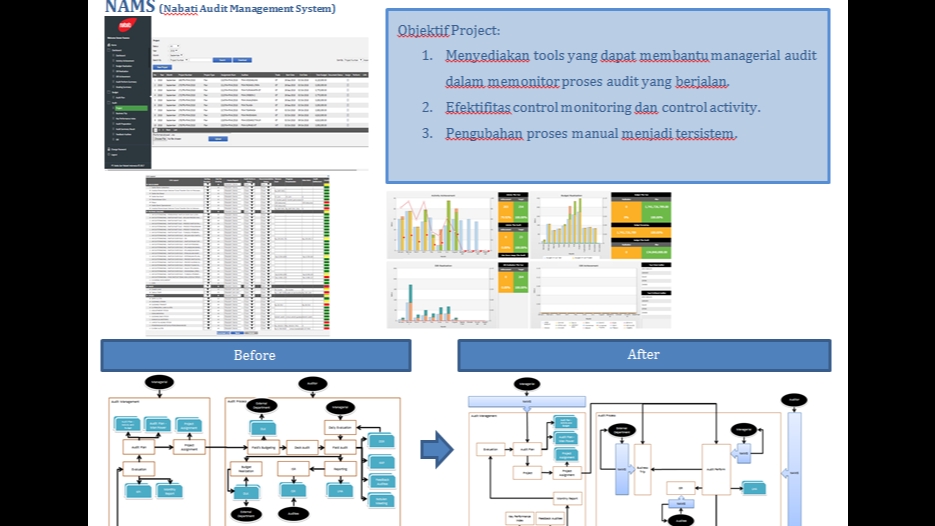 IT Business Consultant
